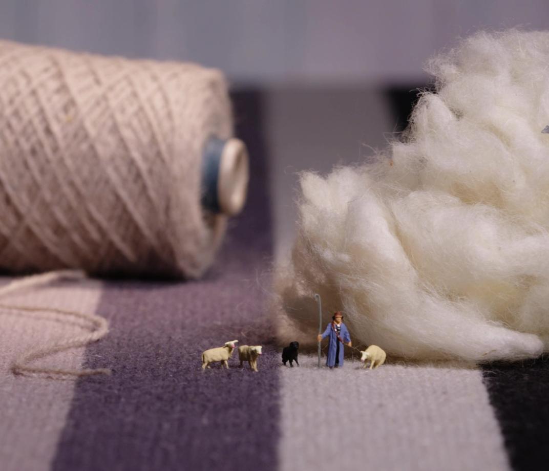 Wool Iconic Herringstripe Pavlova (1568) | Wool Carpet | Alternative ...